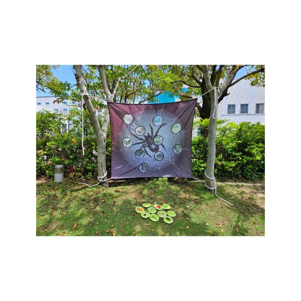 J027 Cobweb and Insect Toss Game-Shine Sport