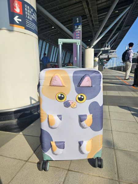 Exhibition Records-News-Shine Sport